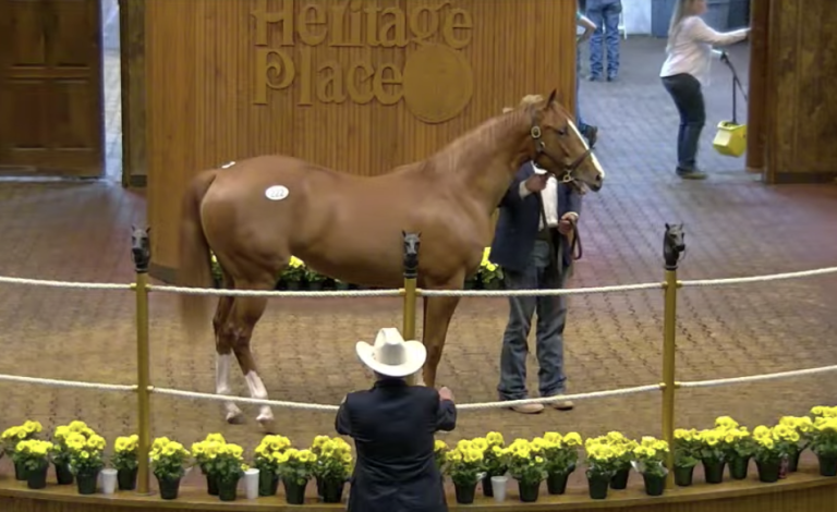Six-Figure First Down Dash Filly Tops Opening Session of Heritage Place ...